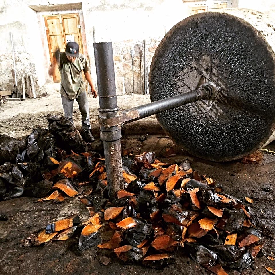 Learn About the Process of Crafting Mezcal - Escapadas