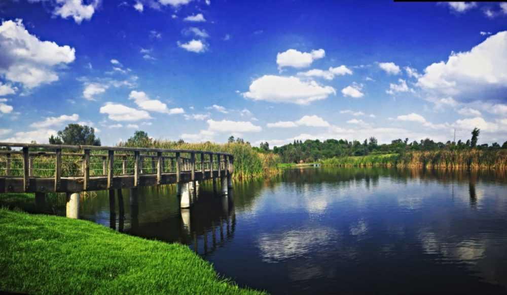 Enjoy Parque Ecológico de Xochimilco as a Family - Escapadas