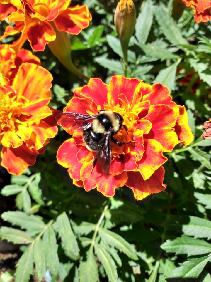 Macuiltépetl Eco Park - Escapadas